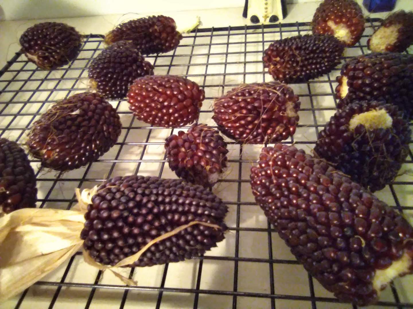 While They Were Sleeping » Blog Archive » Strawberry-Popcorn-Drying-2023